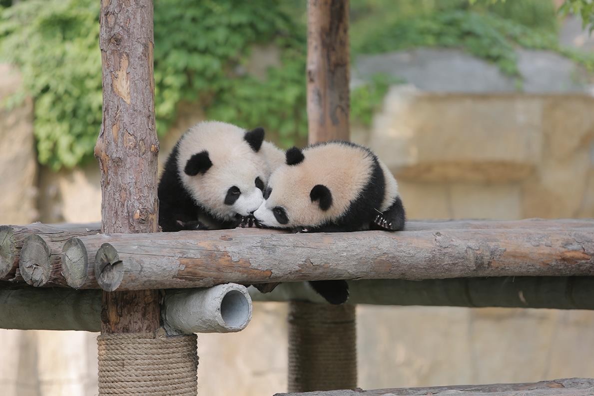 Must-Visit Destinations in Shanghai Series One | Shanghai Traveller